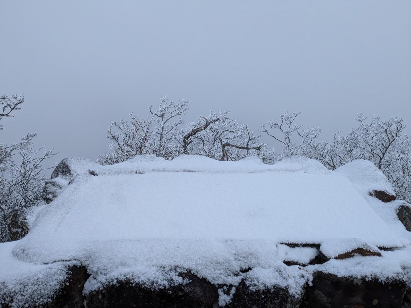 高見山 / mettaさんの高見山・黒石山・天狗山の活動データ | YAMAP / ヤマップ