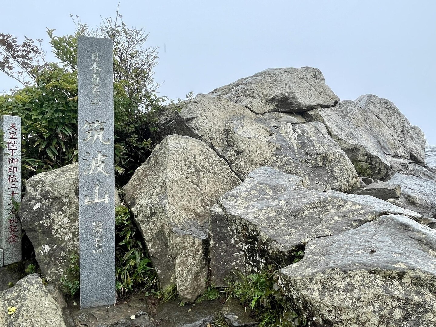 雨の筑波山 〜筑波山神社〜御幸ヶ原コース〜山頂 / azさんの筑波山の活動データ | YAMAP / ヤマップ