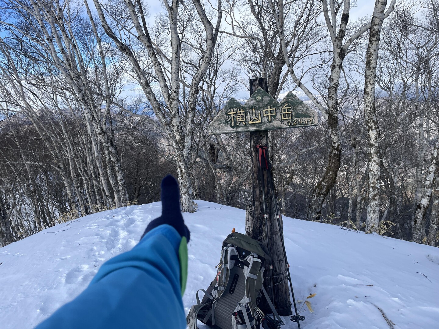 横山中岳／北海道新ひだか町 / sk-hugoさんの横山中岳の活動日記 | YAMAP / ヤマップ