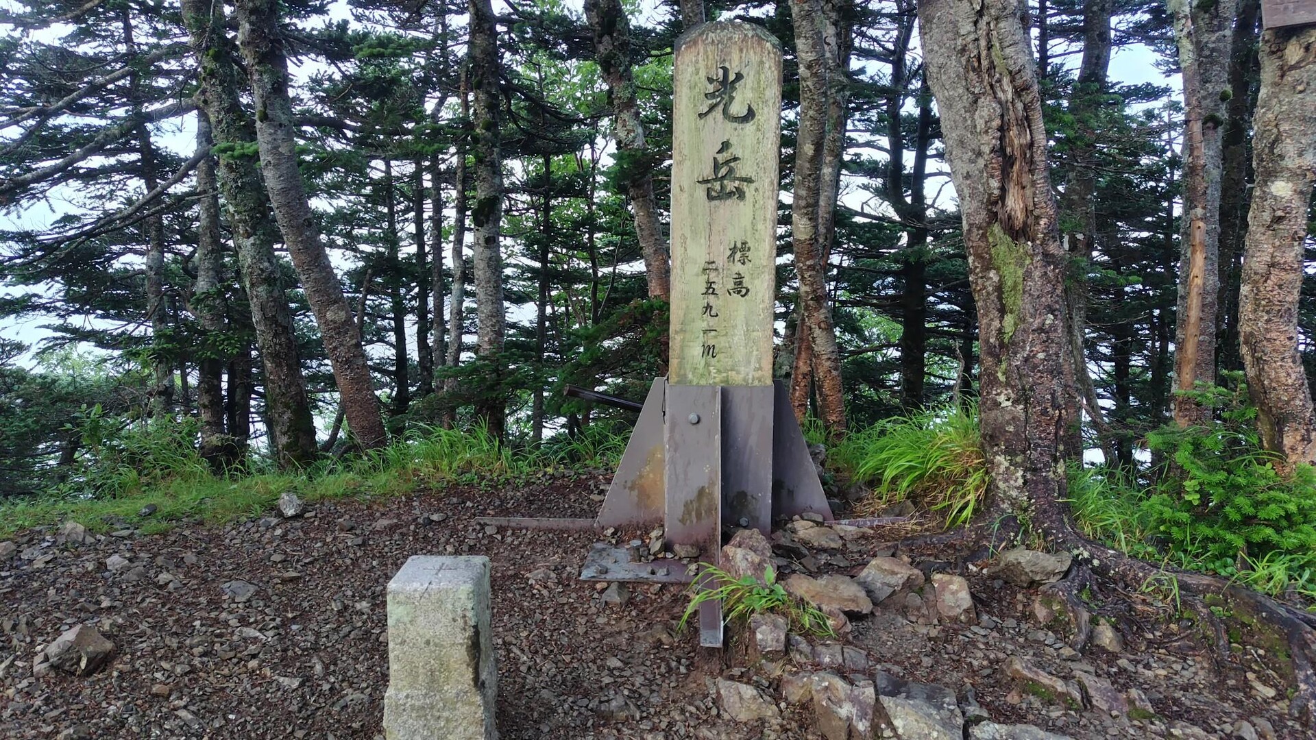 易老岳・光岳・イザルガ岳 / tomy_takahashiさんの聖岳・大沢岳・光岳の活動データ | YAMAP / ヤマップ