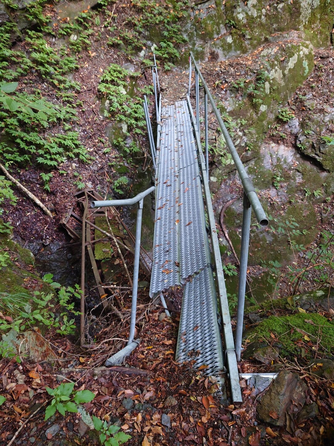 DRさんの投稿したフィールドメモ | YAMAP / ヤマップ