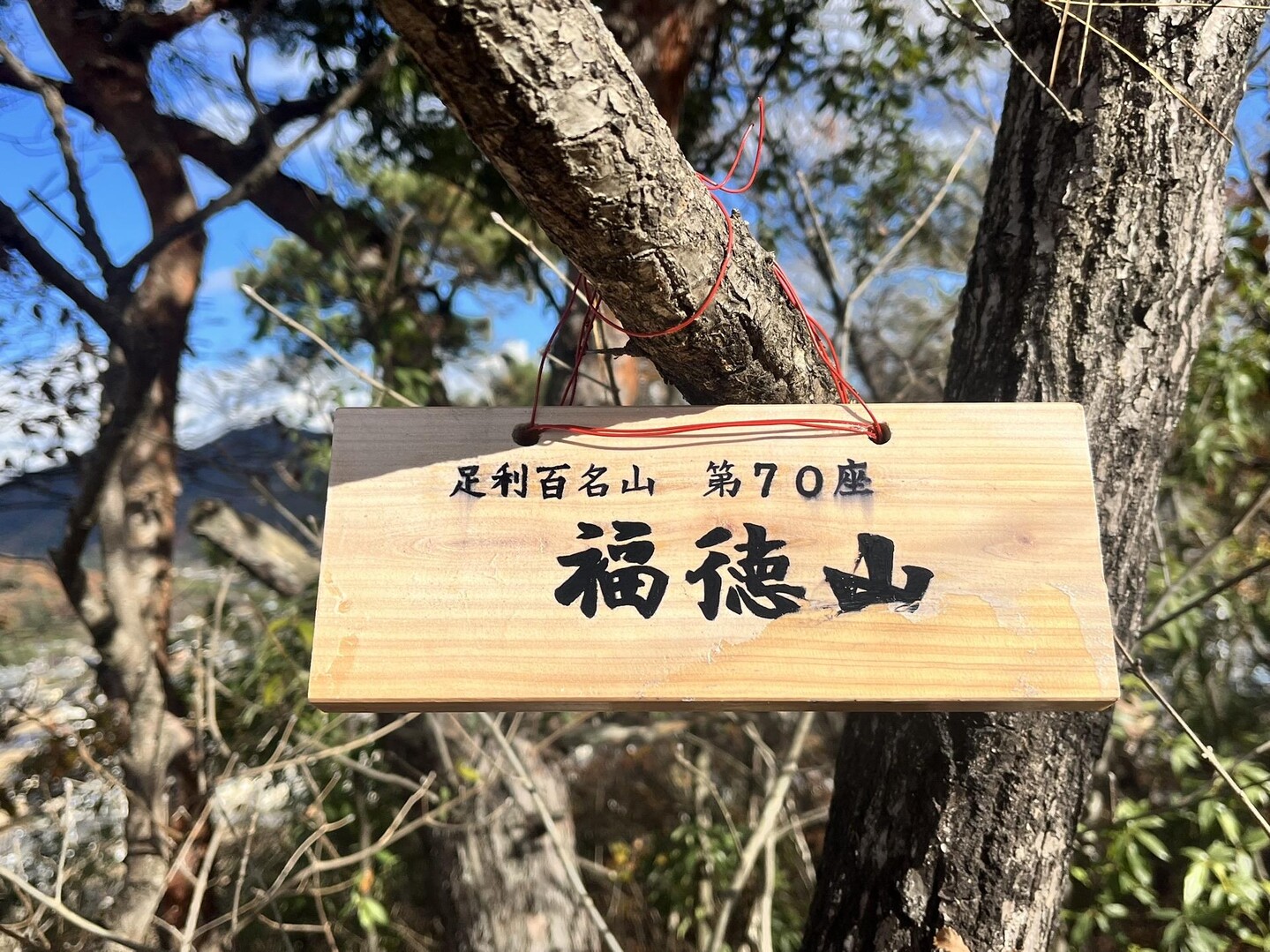 福徳山へ / hachacha-umemeさんの大小山（妙義山）・西場富士の活動データ | YAMAP / ヤマップ