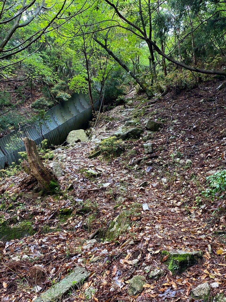 k2ma34さんの投稿したフィールドメモ | YAMAP / ヤマップ