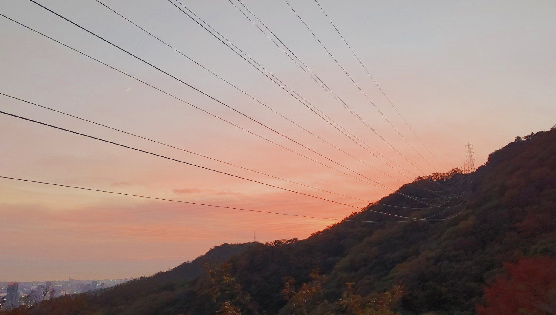 兵庫県民の義務を果たしたので、摩耶山行っ... / shigさんのモーメント | YAMAP / ヤマップ