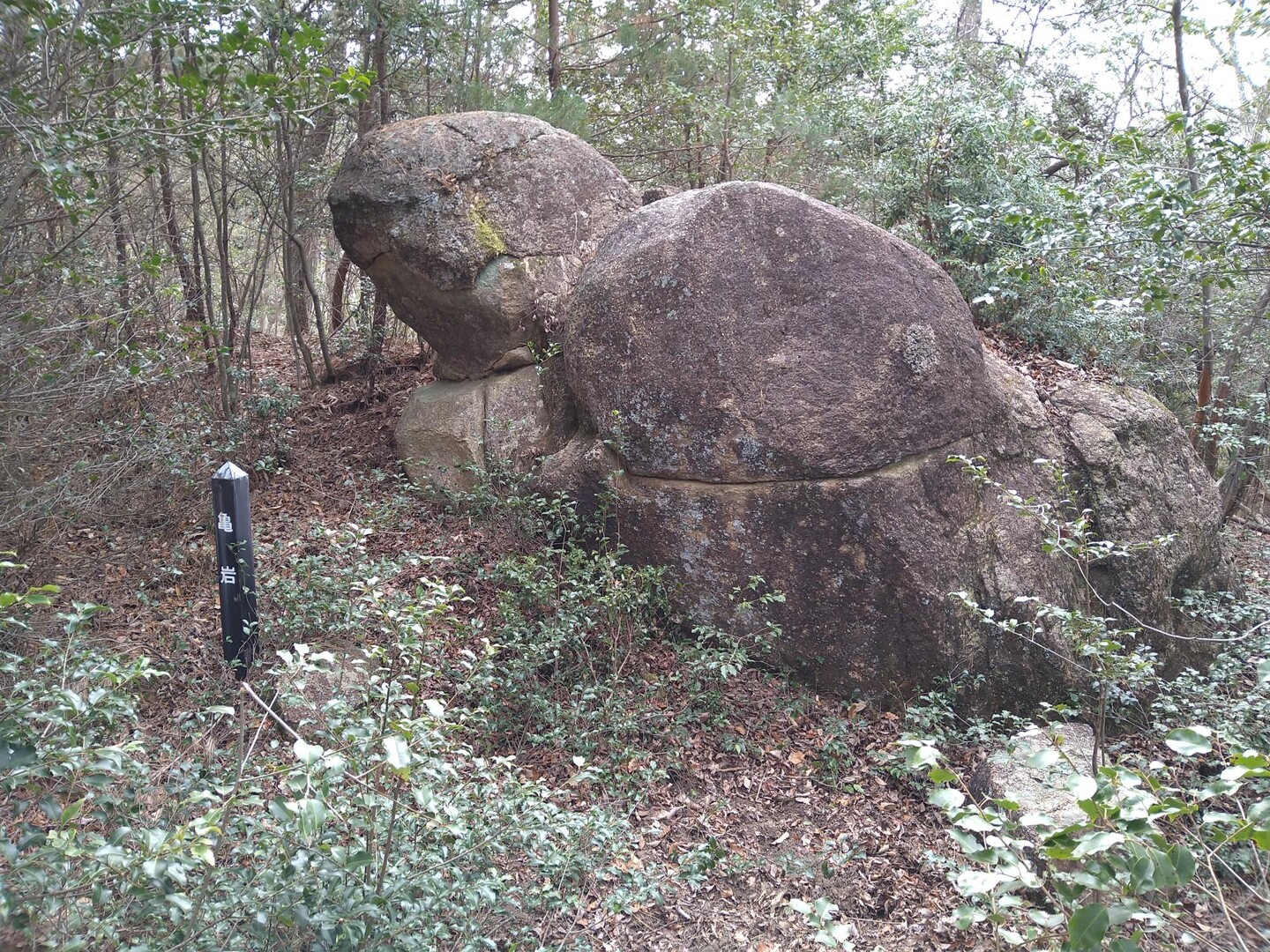 新龍アルプス縦走！ / yakkoさんの亀山・鶏籠山・的場山の活動データ | YAMAP / ヤマップ
