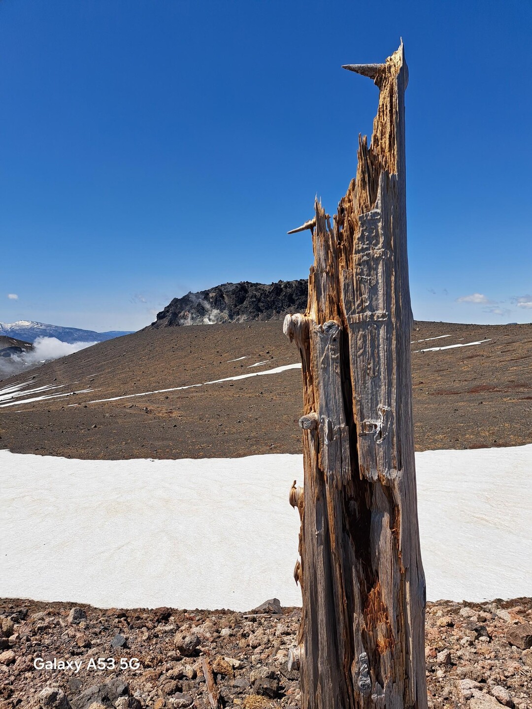 樽前山（東山） / aripapaさんの樽前山・風不死岳の活動データ | YAMAP / ヤマップ