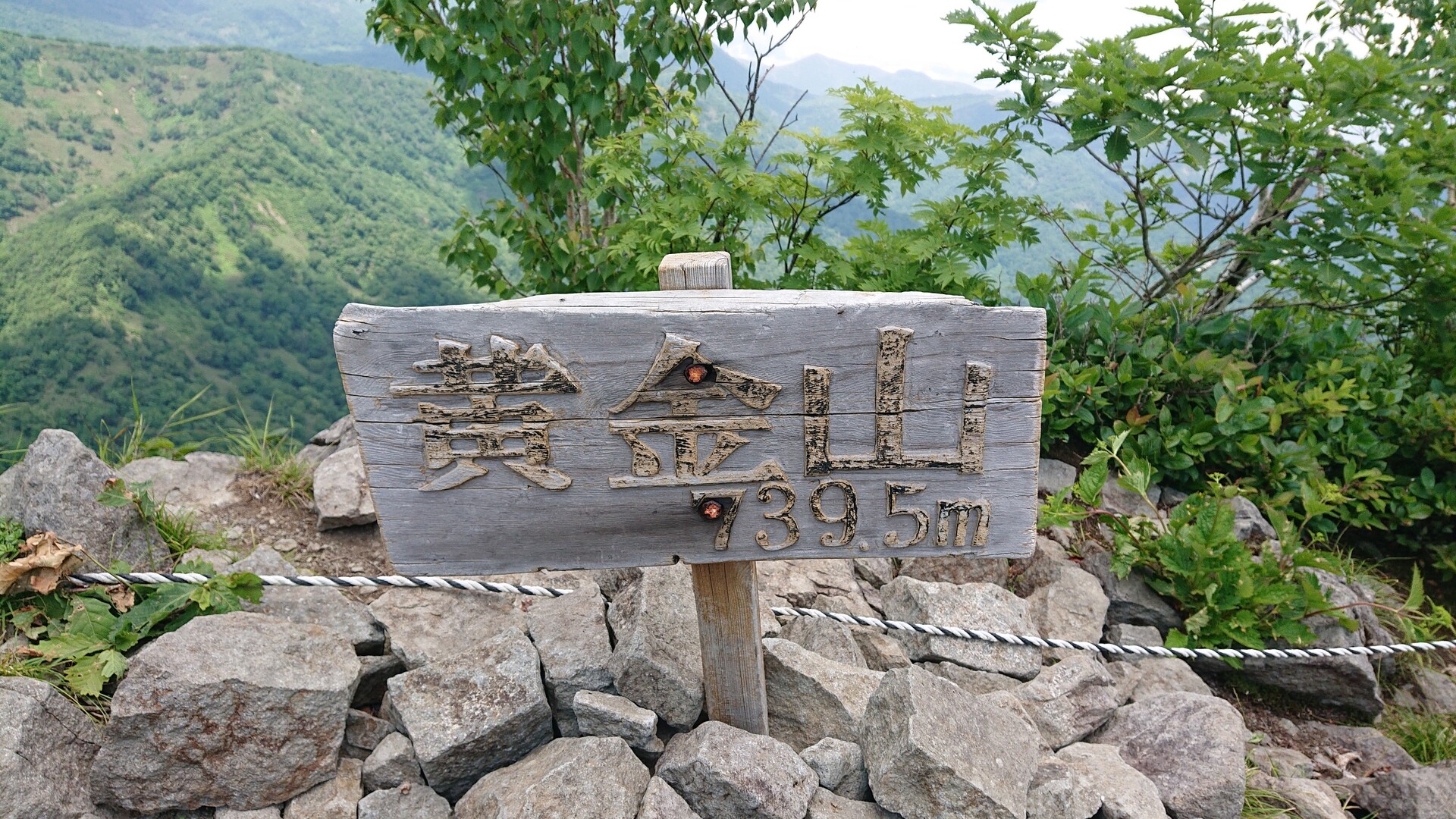 黄金山(2020-07-05) / masakingさんの黄金山の活動データ | YAMAP / ヤマップ