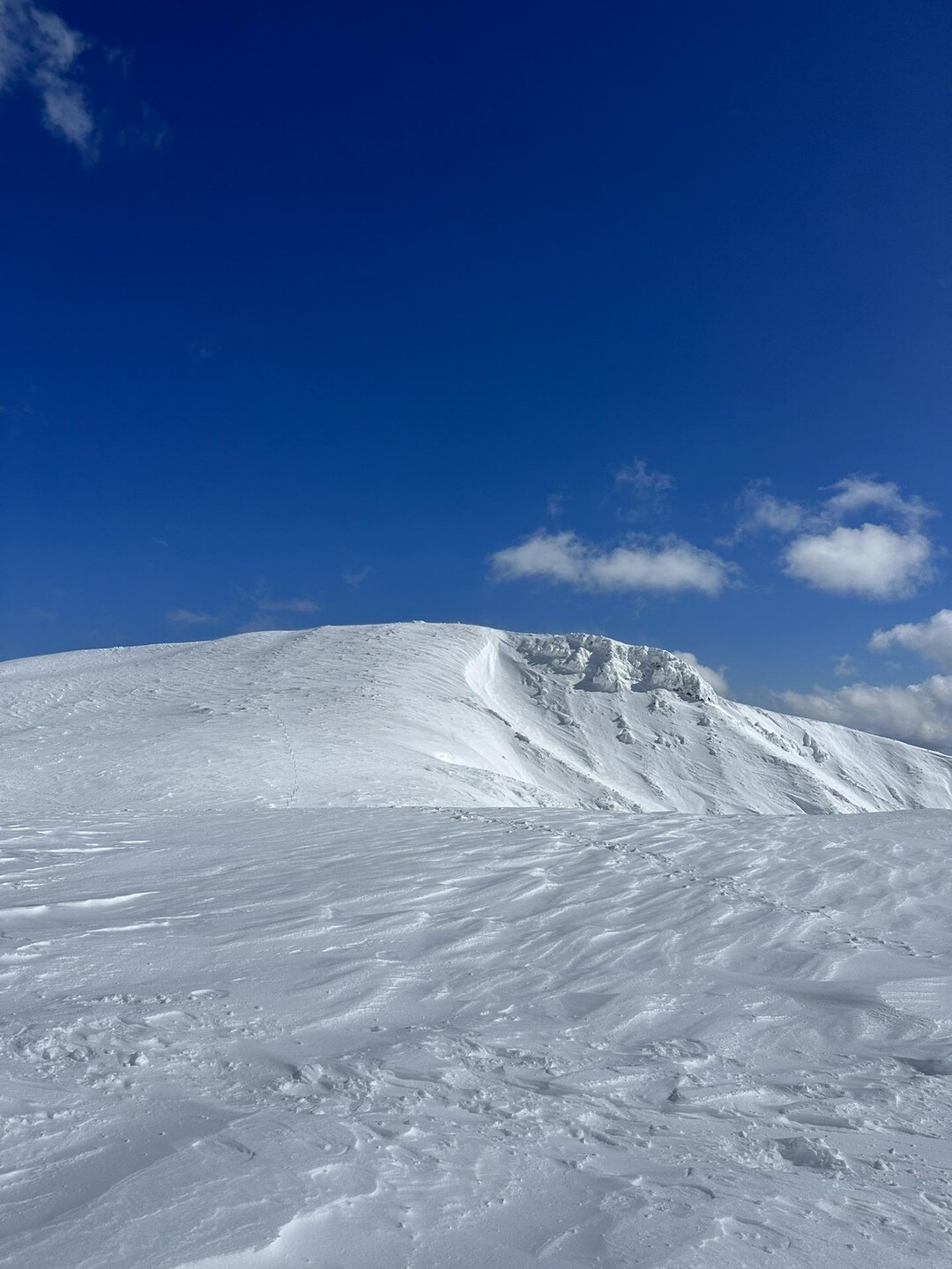 うそ〜ん💦ピンチです😱地蔵岳・蔵王山(熊野岳) / kyo chanさんの蔵王山・雁戸山・不忘山の活動データ | YAMAP / ヤマップ