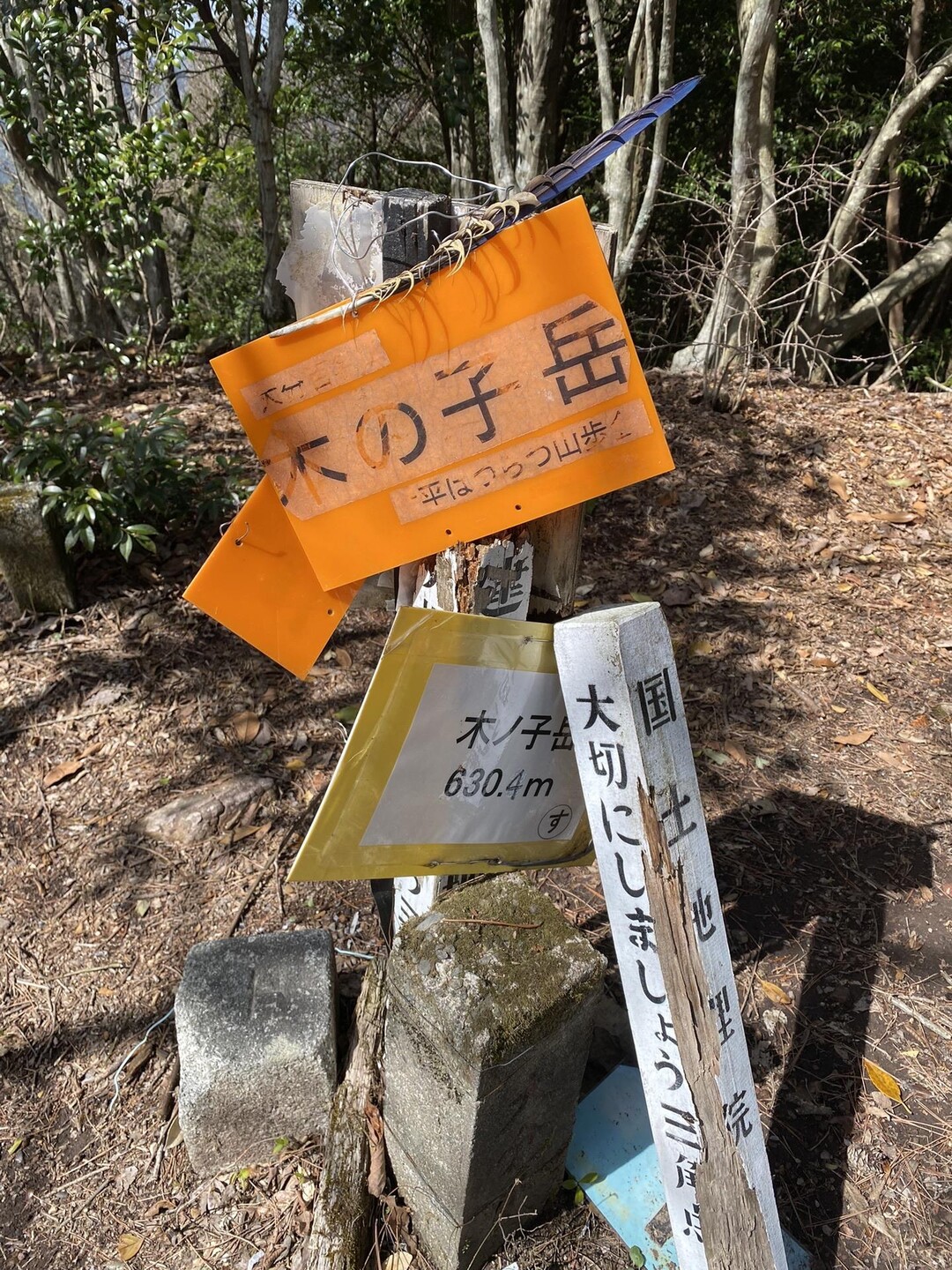 大岳(木ノ子岳) / モラ2000さんの鹿熊岳の活動データ | YAMAP / ヤマップ