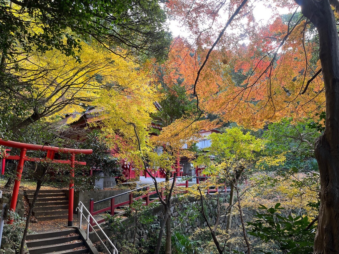 久しぶりの登山（権現山・皿倉山）とYAMAP投稿 / U-Chanさんの皿倉山・花尾山・帆柱山の活動データ | YAMAP / ヤマップ