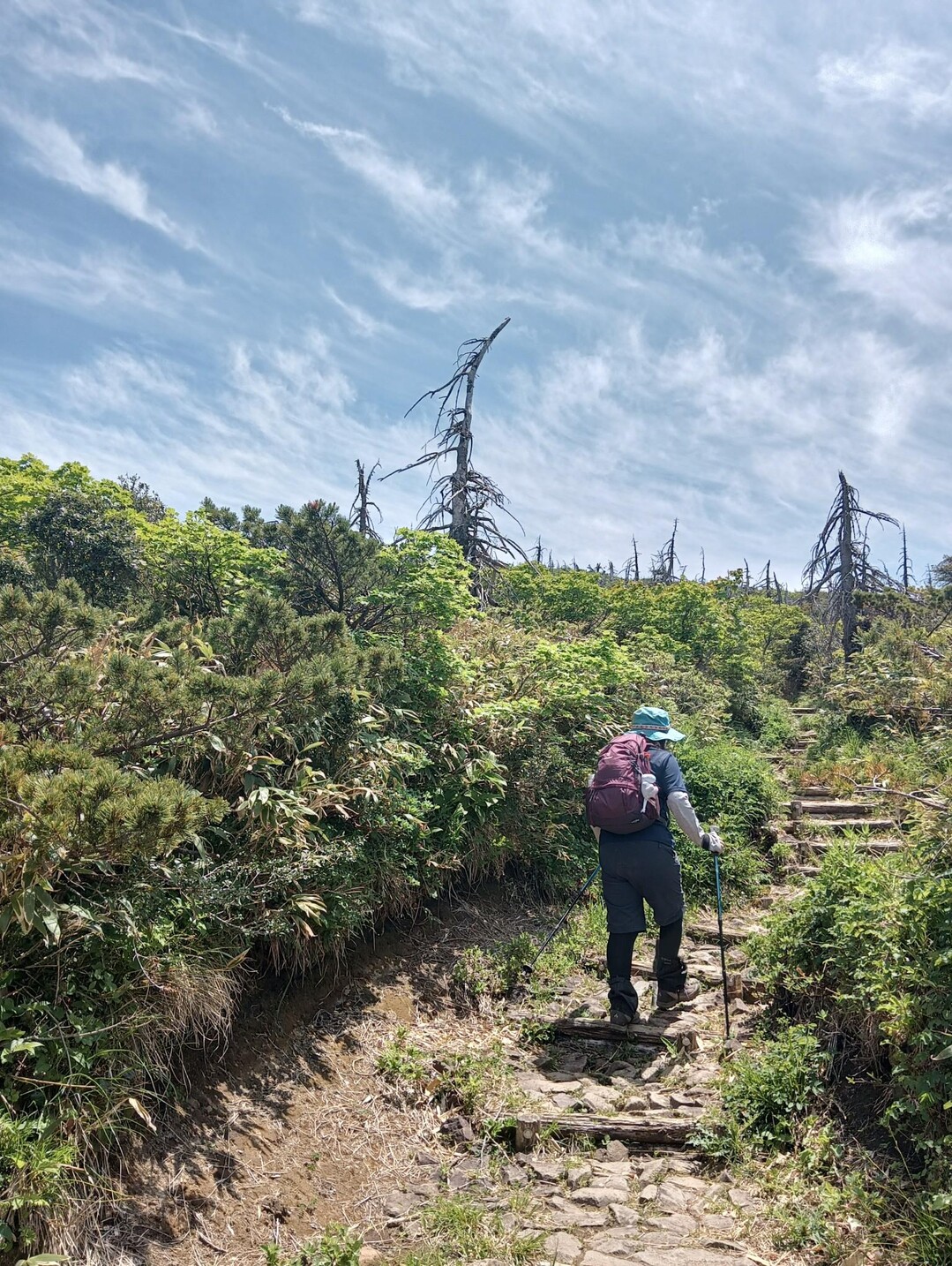 前山・杉ヶ峰・屏風岳 / jtyhじじさんの蔵王山・雁戸山・不忘山の活動データ | YAMAP / ヤマップ