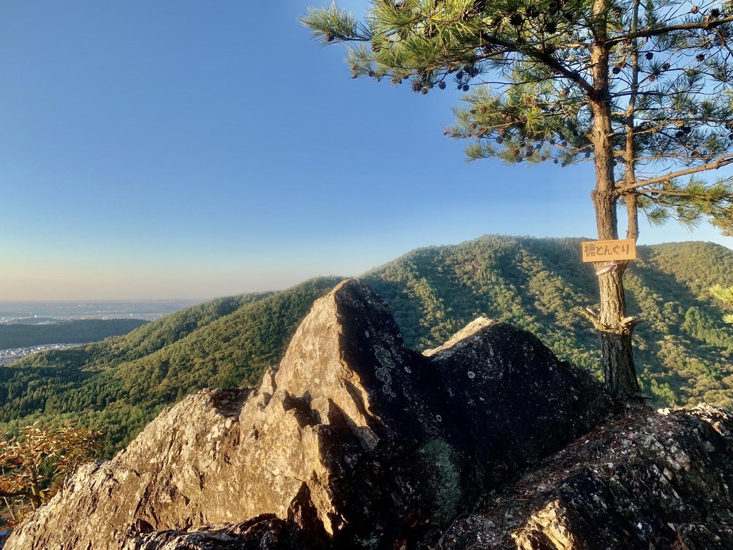 どんぐり山お散歩🏃‍♂️💨 / Y45Uさんの各務原アルプス（関南アルプス）・八木三山の活動データ | YAMAP / ヤマップ