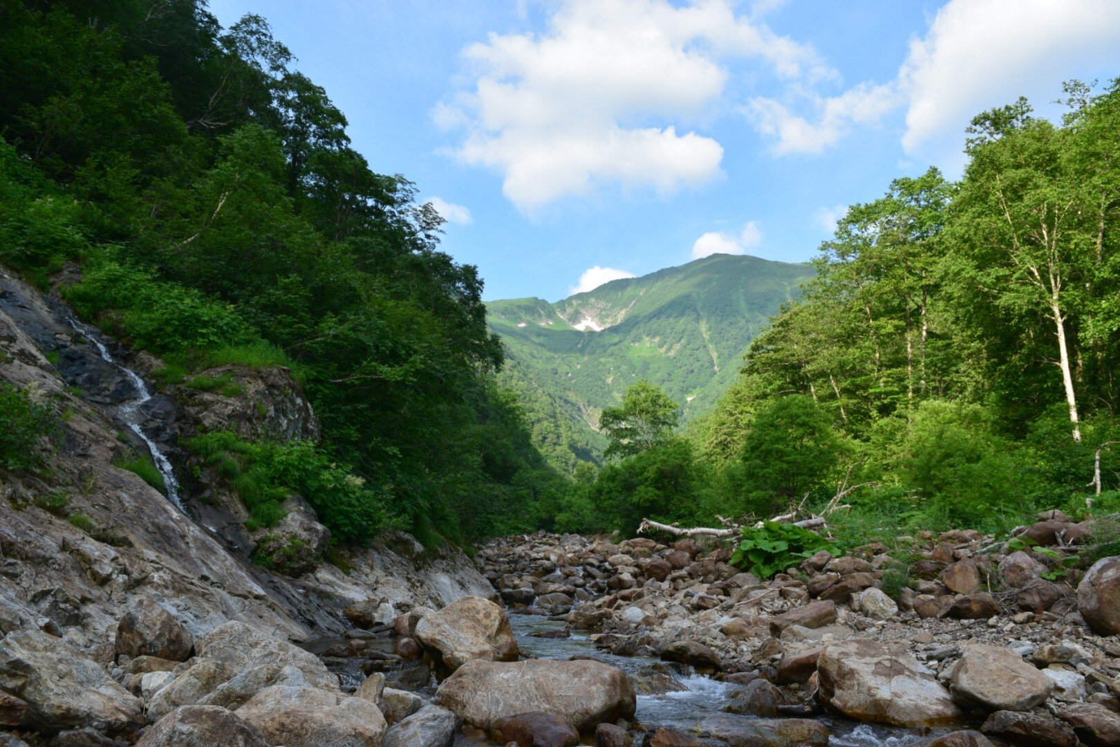 カムイエクウチカウシ山 彼方の聖域を見に… 2021.7.20 / sikasunさんのカムイエクウチカウシ山（カムエク）の活動日記 | YAMAP / ヤマップ