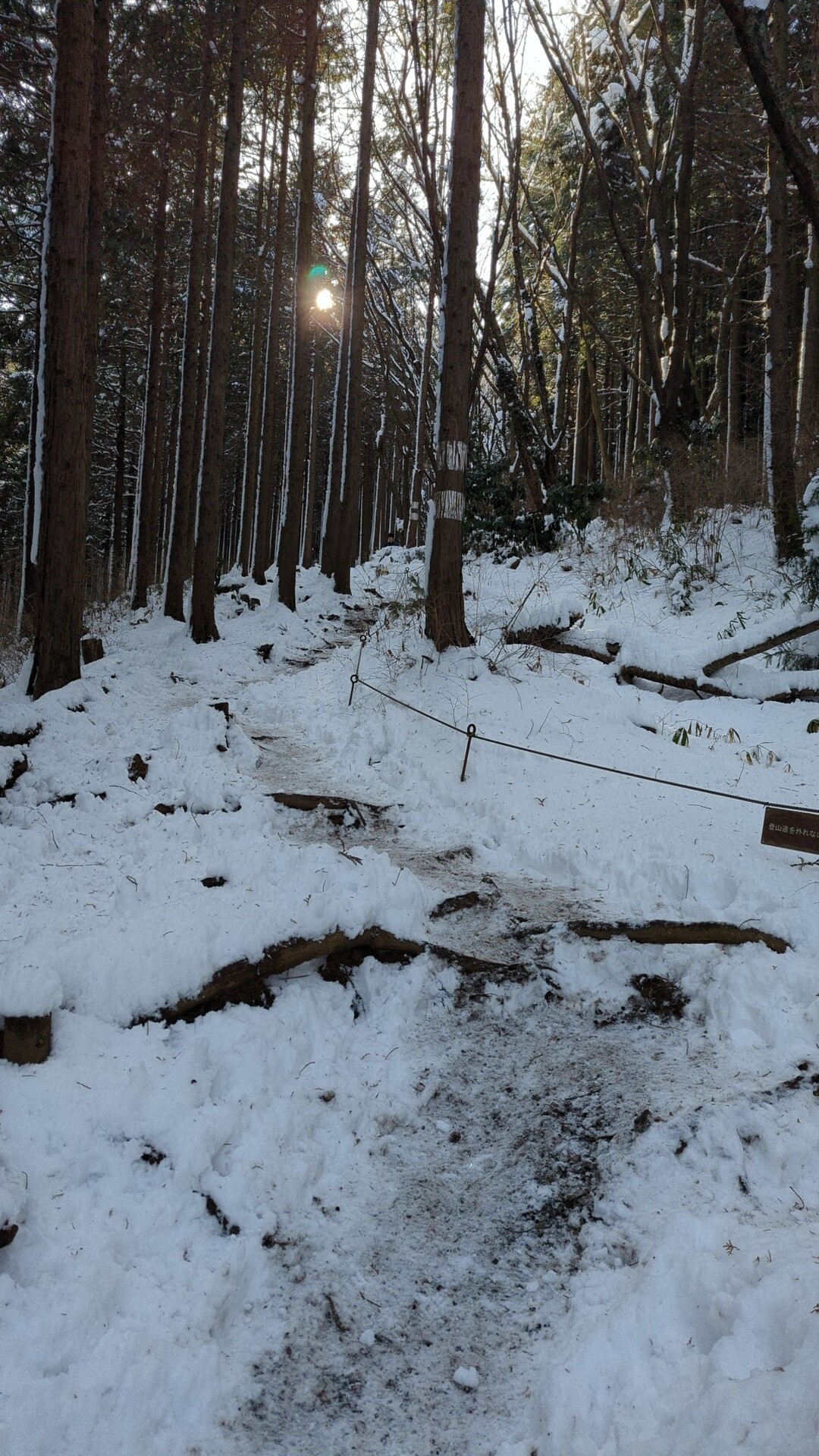 pitoring_さんの投稿したフィールドメモ | YAMAP / ヤマップ