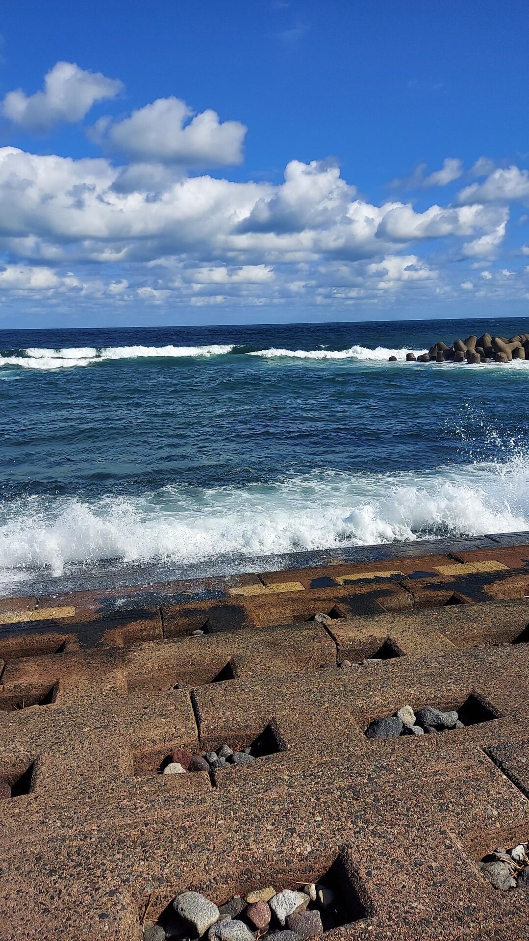 ゼロ大山達成‼️ 浜辺⇔山頂39km😵💧 / さくぞうさんの大山・甲ヶ山・野田ヶ山の活動データ | YAMAP / ヤマップ