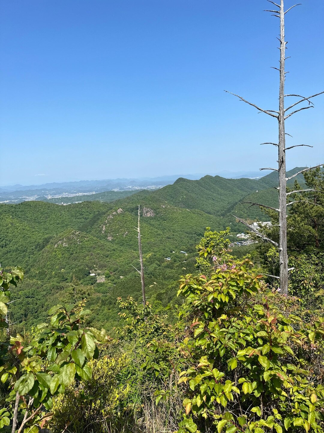 Jangers ジャンガースさんの投稿したフィールドメモ | YAMAP / ヤマップ