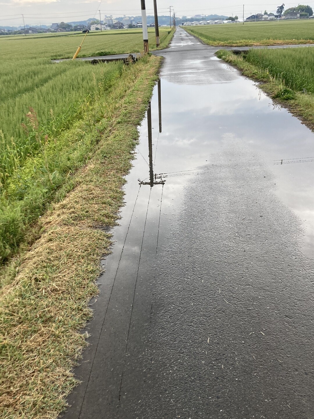 サイクリングの時のひとコマ、。 久しぶり... / たかっshiさんのモーメント | YAMAP / ヤマップ