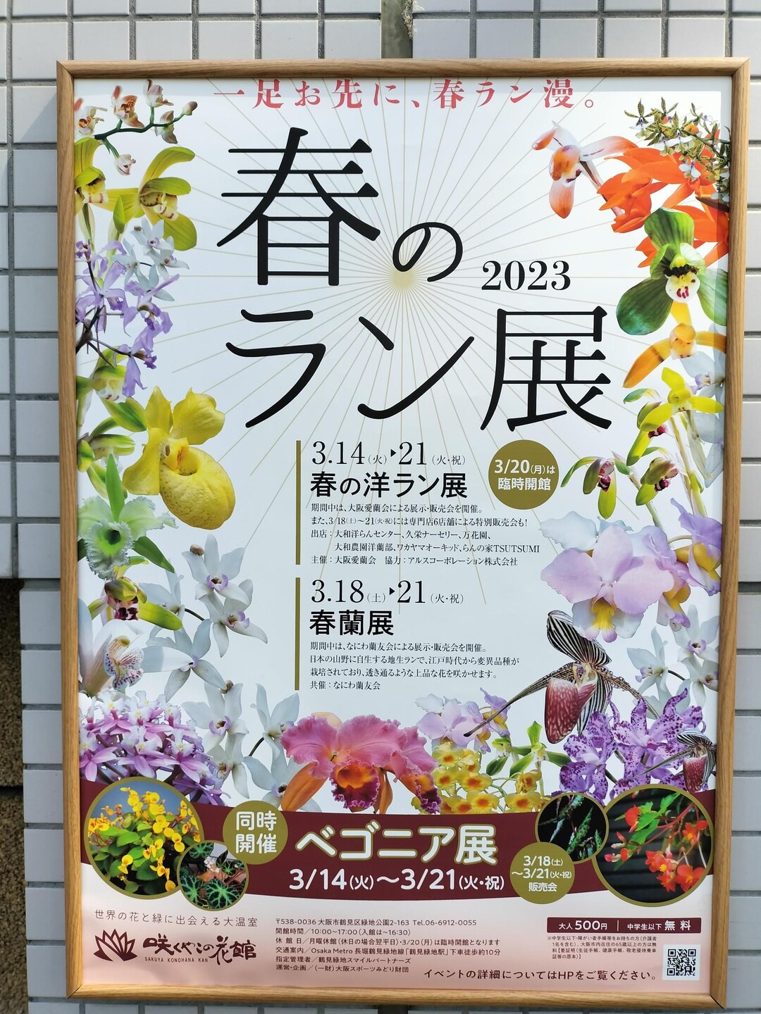 咲くやこの花館で「春の蘭展」が始まったの... / haruさんのモーメント | YAMAP / ヤマップ