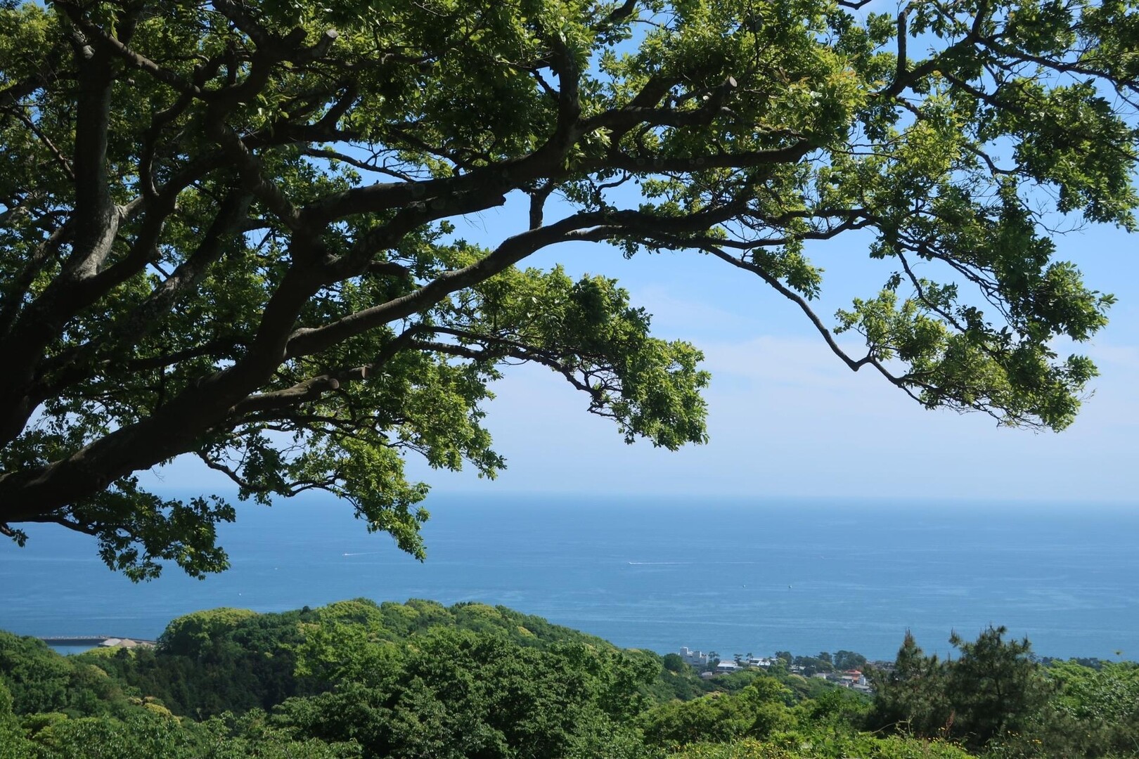 関ふれ道（神奈川）3 / ATSUさんの鎌倉市の活動日記 | YAMAP / ヤマップ