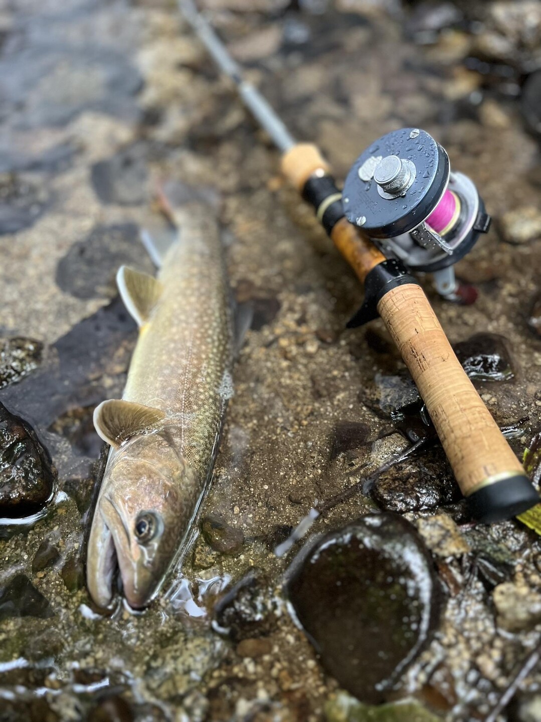 2023.09.19(火) 21:31 / takuyaさんのモーメント | YAMAP / ヤマップ