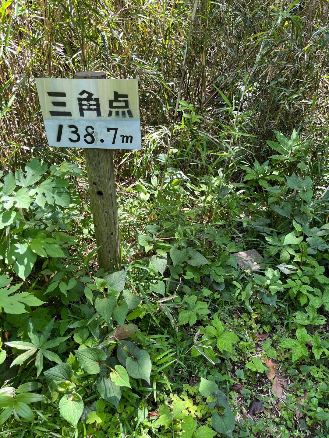 三舟山 / jjさんの三舟山の活動データ | YAMAP / ヤマップ