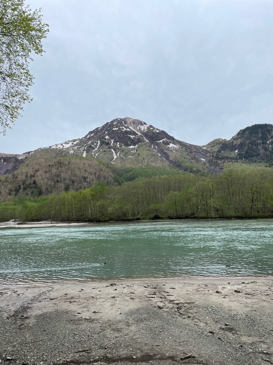 密にならない早朝上高地大正池から明神まで... / sugarさんのモーメント | YAMAP / ヤマップ