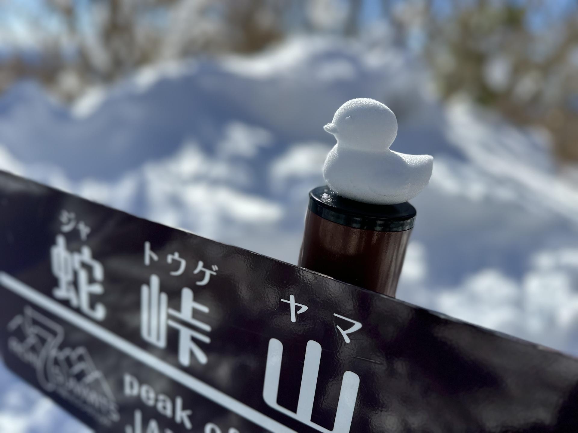 蛇峠山(初めてのスノーシュー) / ako さんの蛇峠山の活動データ | YAMAP / ヤマップ