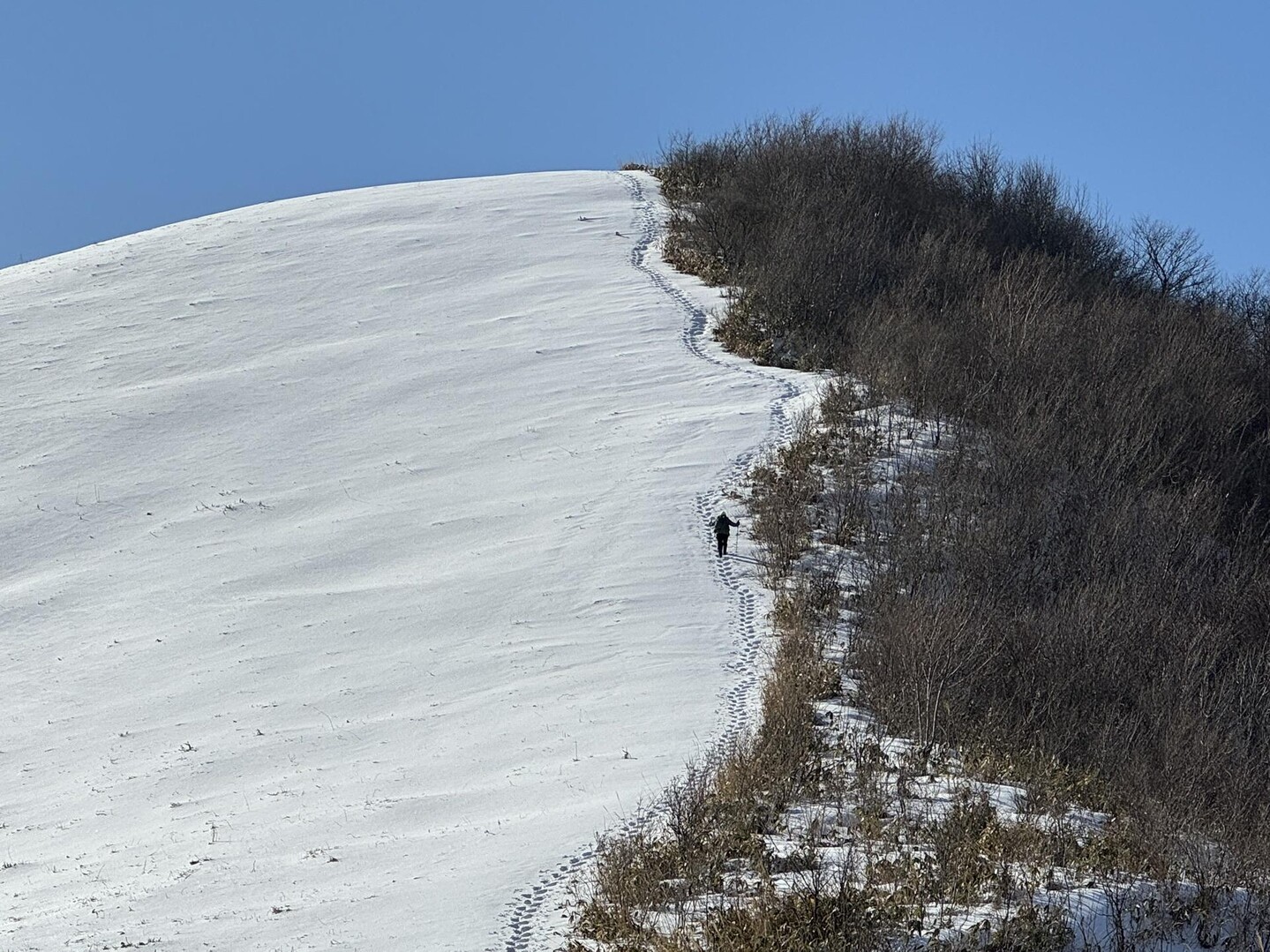 姫ヶ岳 / kikiさんの男鹿半島の活動データ | YAMAP / ヤマップ
