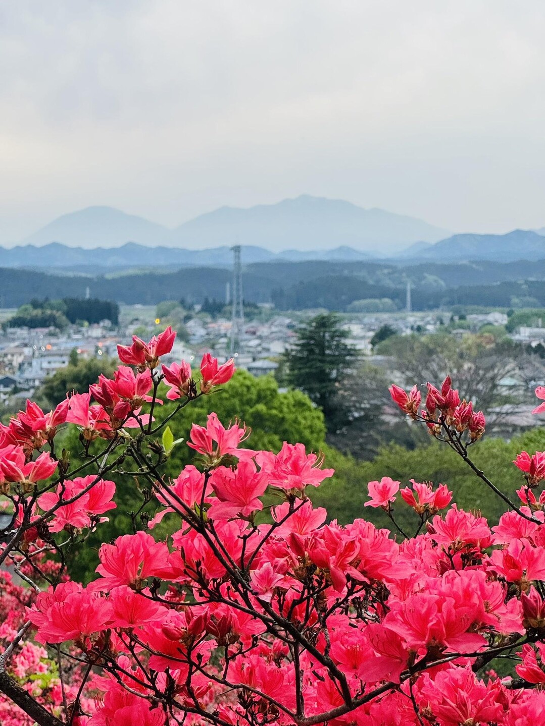 Night Run💨 男体山、女峰山、... / shinpeさんのモーメント | YAMAP / ヤマップ