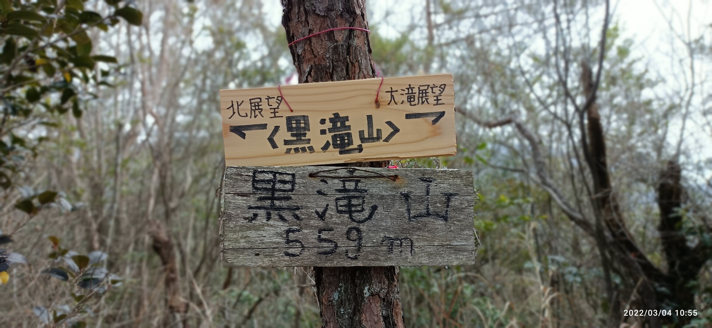 黒滝山 / Mark 141さんの高鉢山・黒滝山の活動日記 | YAMAP / ヤマップ