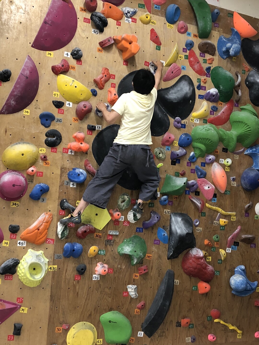 Goo Feeさんで2時間みっちり登って... / KARINAさんのモーメント | YAMAP / ヤマップ