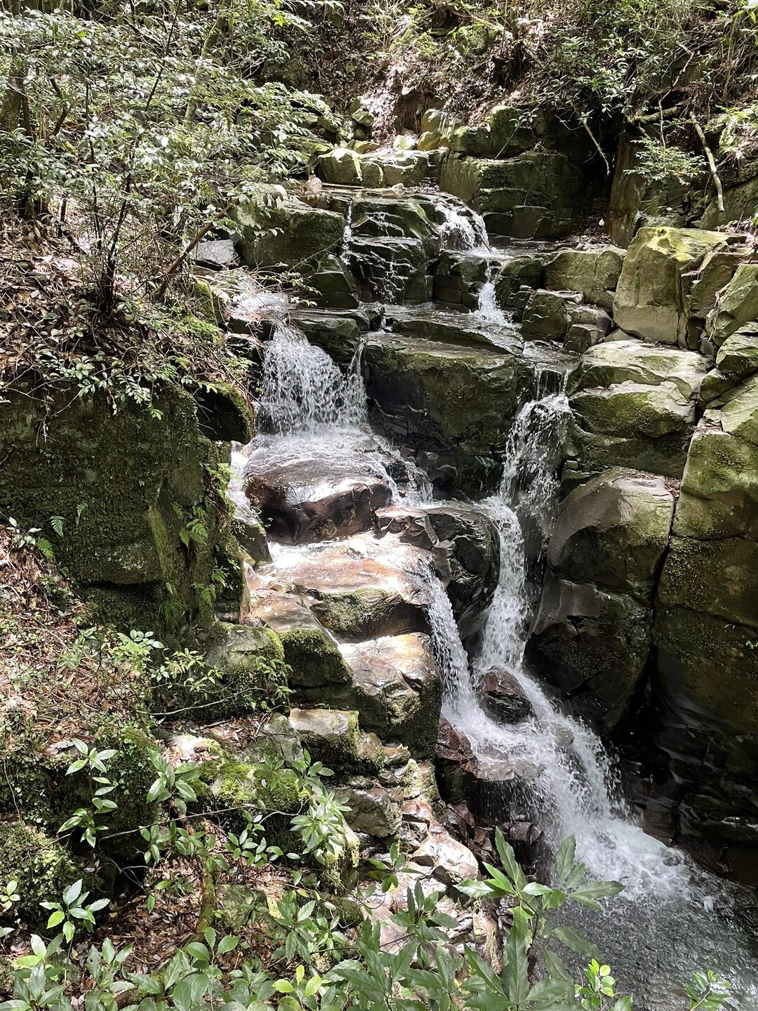 八方ヶ岳 / kinjunさんの八方ヶ岳の活動データ | YAMAP / ヤマップ