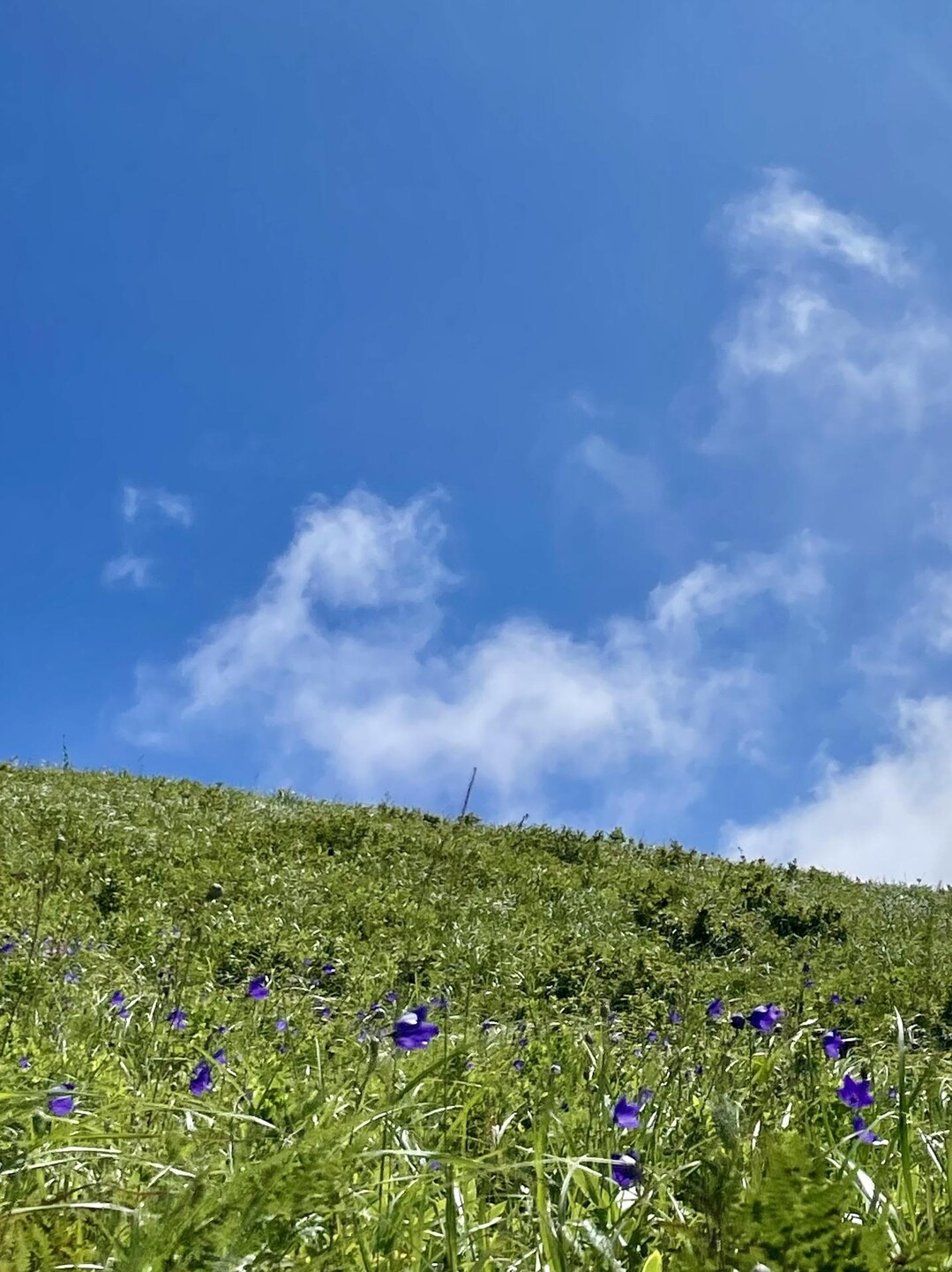 深入山 / smzさんの深入山の活動データ | YAMAP / ヤマップ