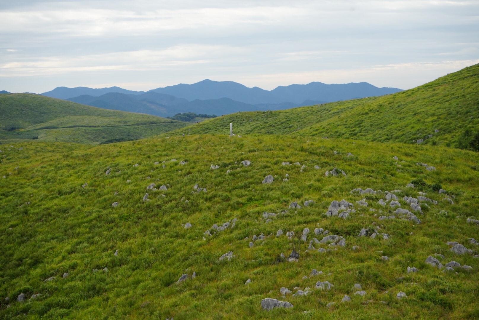 小剣山・地獄台・冠山・若竹山 / yo-jiさんの秋吉台の活動データ | YAMAP / ヤマップ