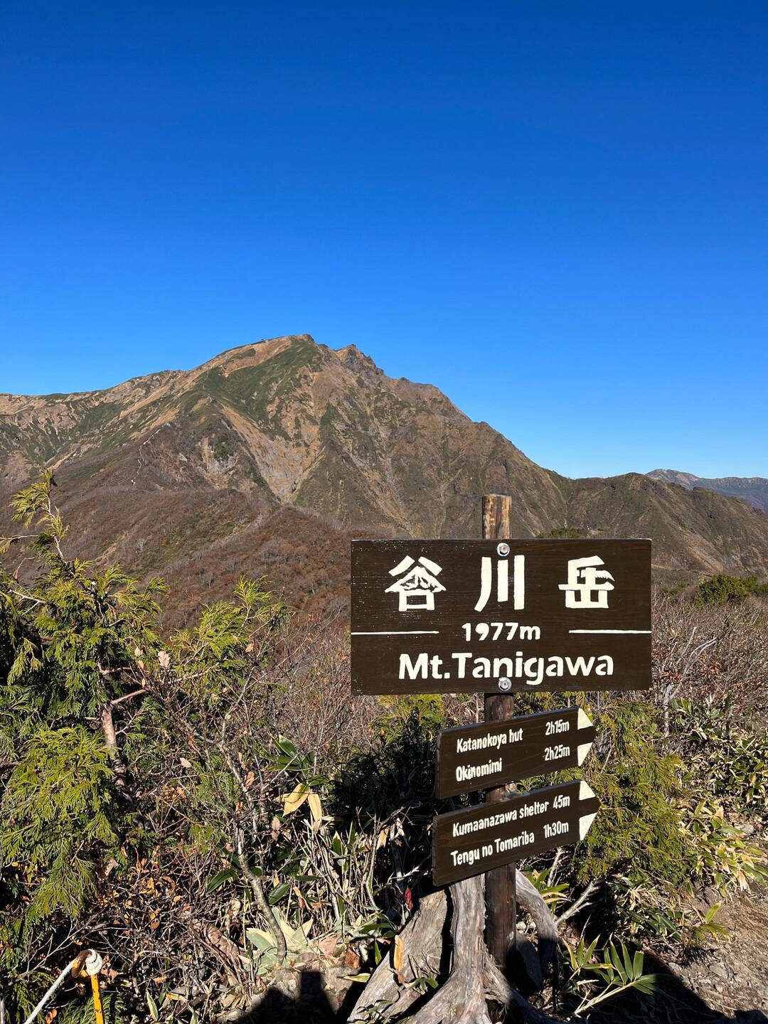 谷川岳（トマの耳）・谷川岳（オキノ耳） / konyan さんの谷川岳・七ツ小屋山・大源太山の活動データ | YAMAP / ヤマップ