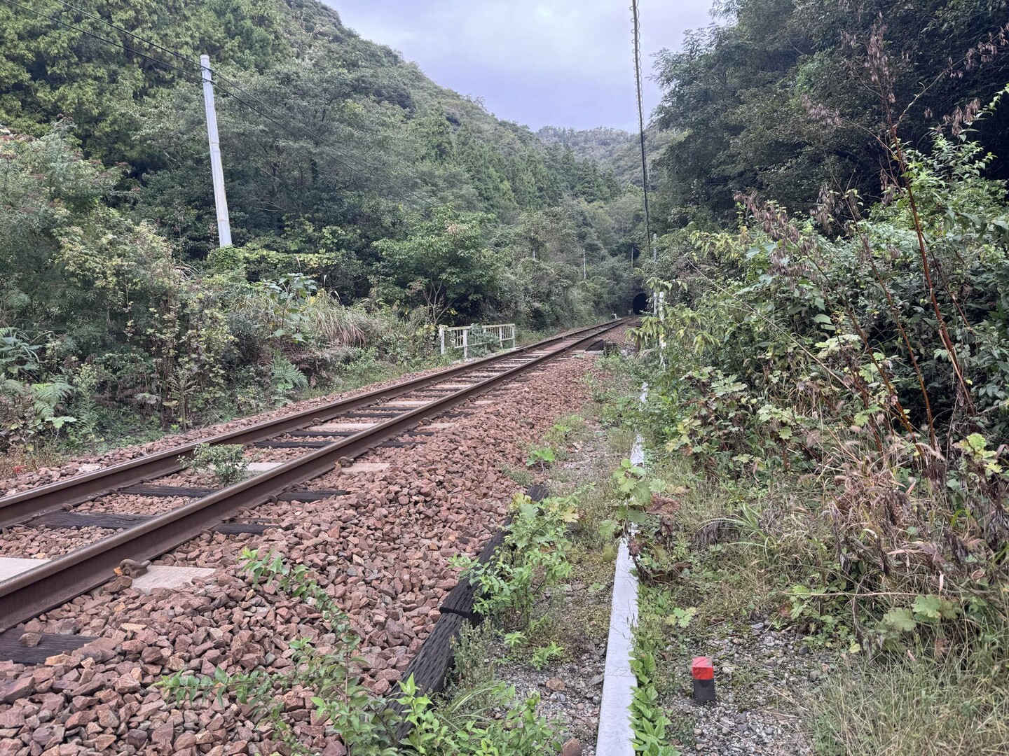 山口市② 龍野岳 / koma_xさんの龍門岳の活動データ | YAMAP / ヤマップ