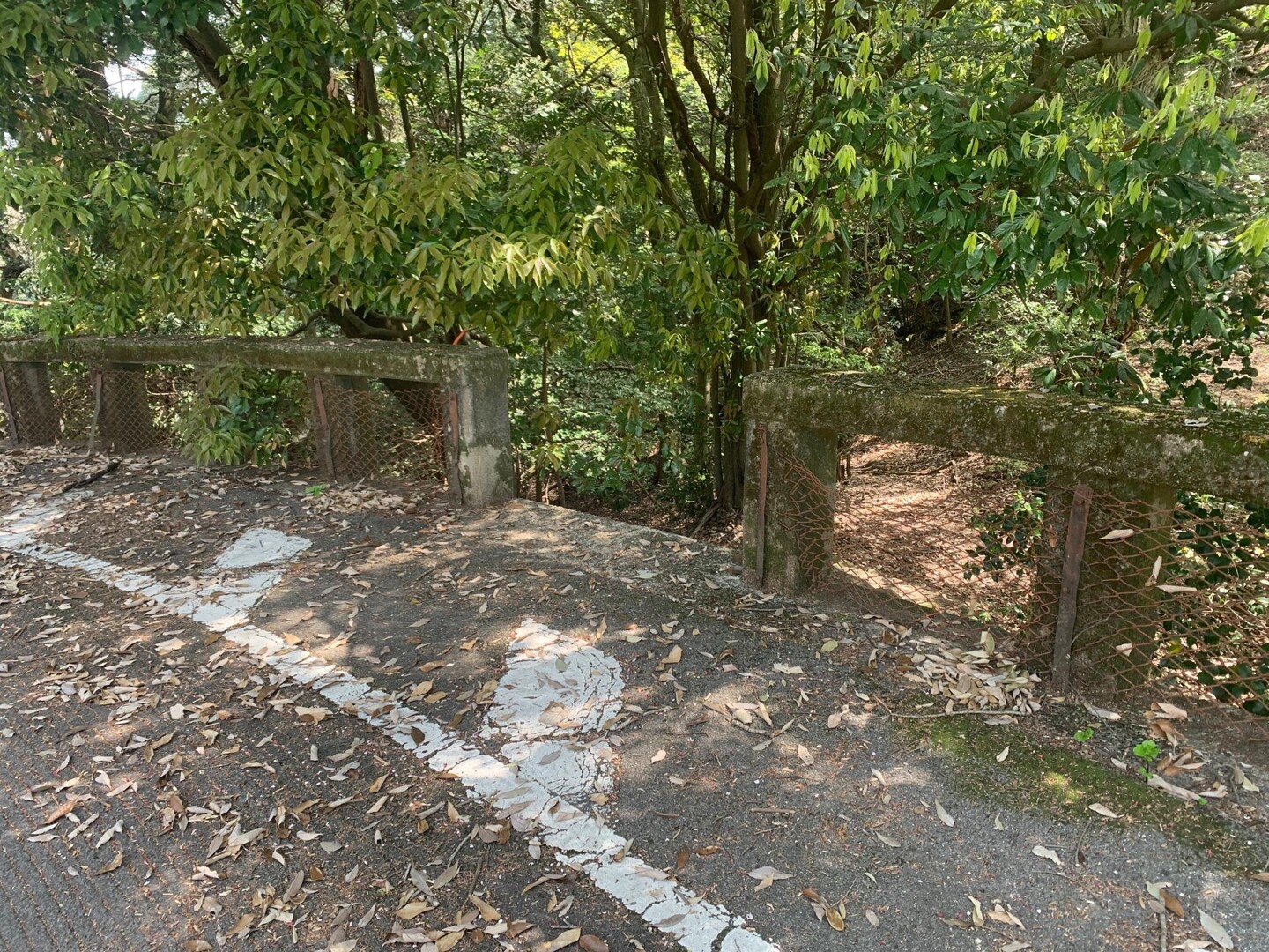 oioiさんの投稿したフィールドメモ | YAMAP / ヤマップ