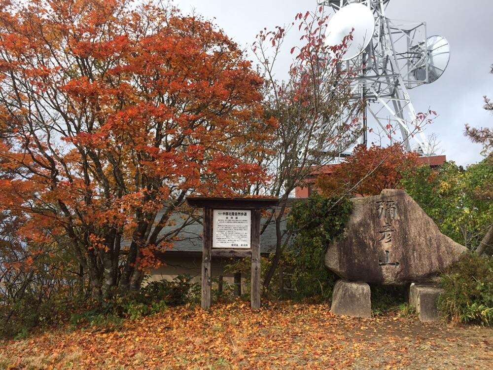 ウォーキング-2022-11-03 / ERさんのウォーキングの活動データ | YAMAP / ヤマップ