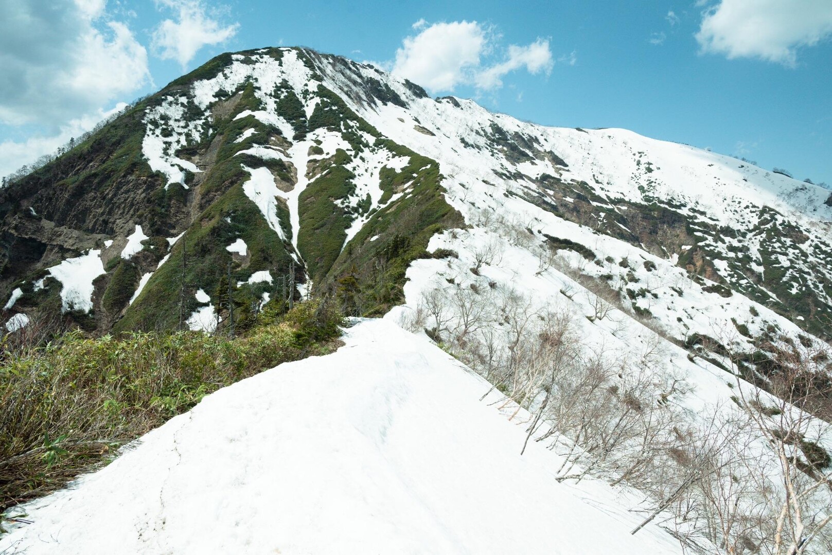 高妻山を見に-2023-05-01 / miiさんの高妻山・戸隠山の活動データ | YAMAP / ヤマップ
