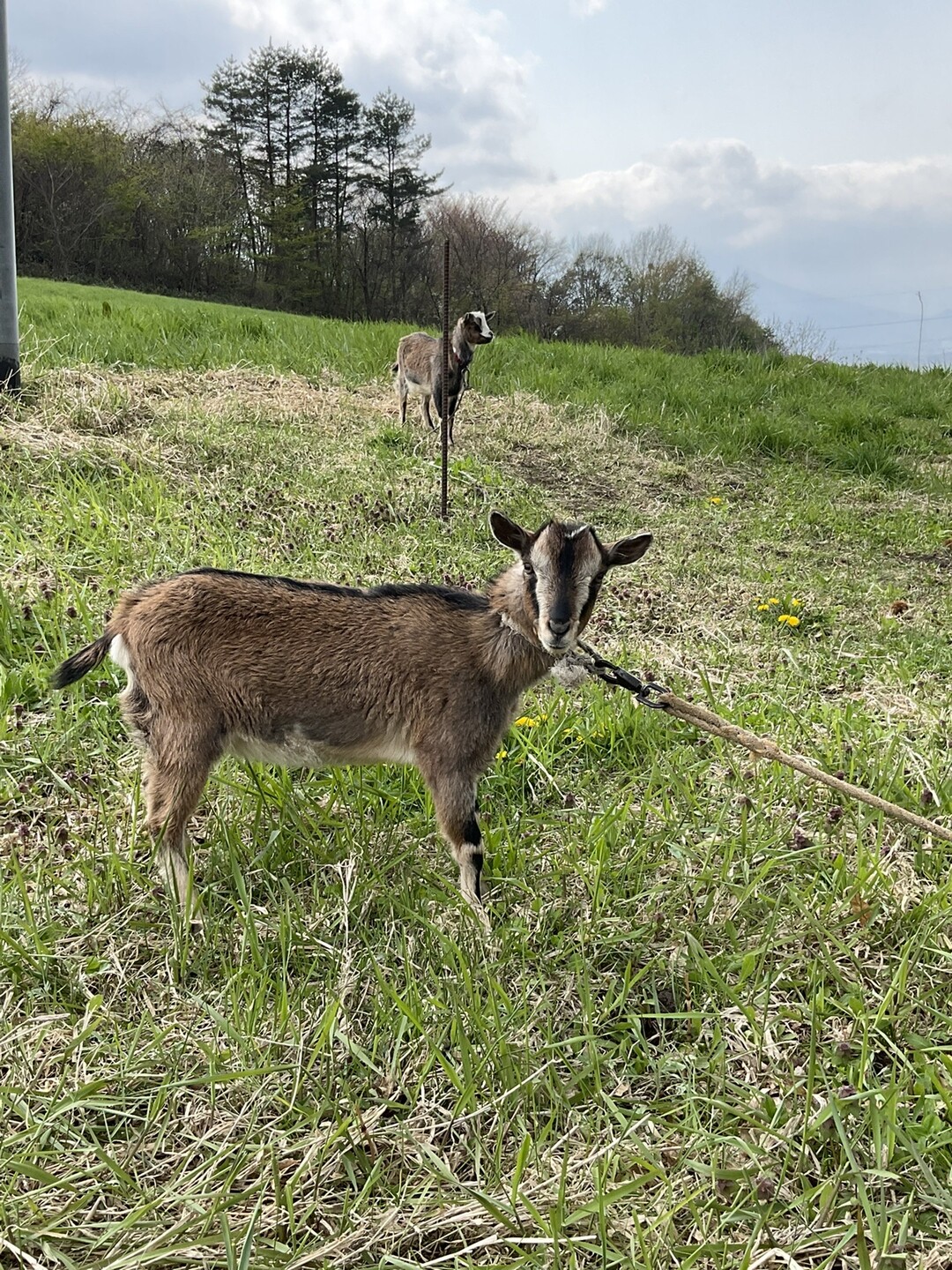 2022.05.04(水) 05:41 / 亀歩きさんのモーメント | YAMAP / ヤマップ