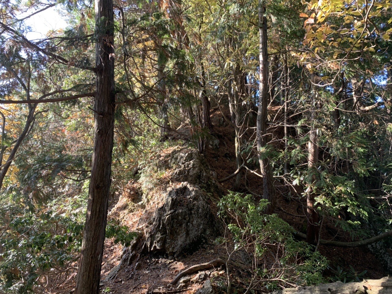 podoryさんの投稿したフィールドメモ | YAMAP / ヤマップ