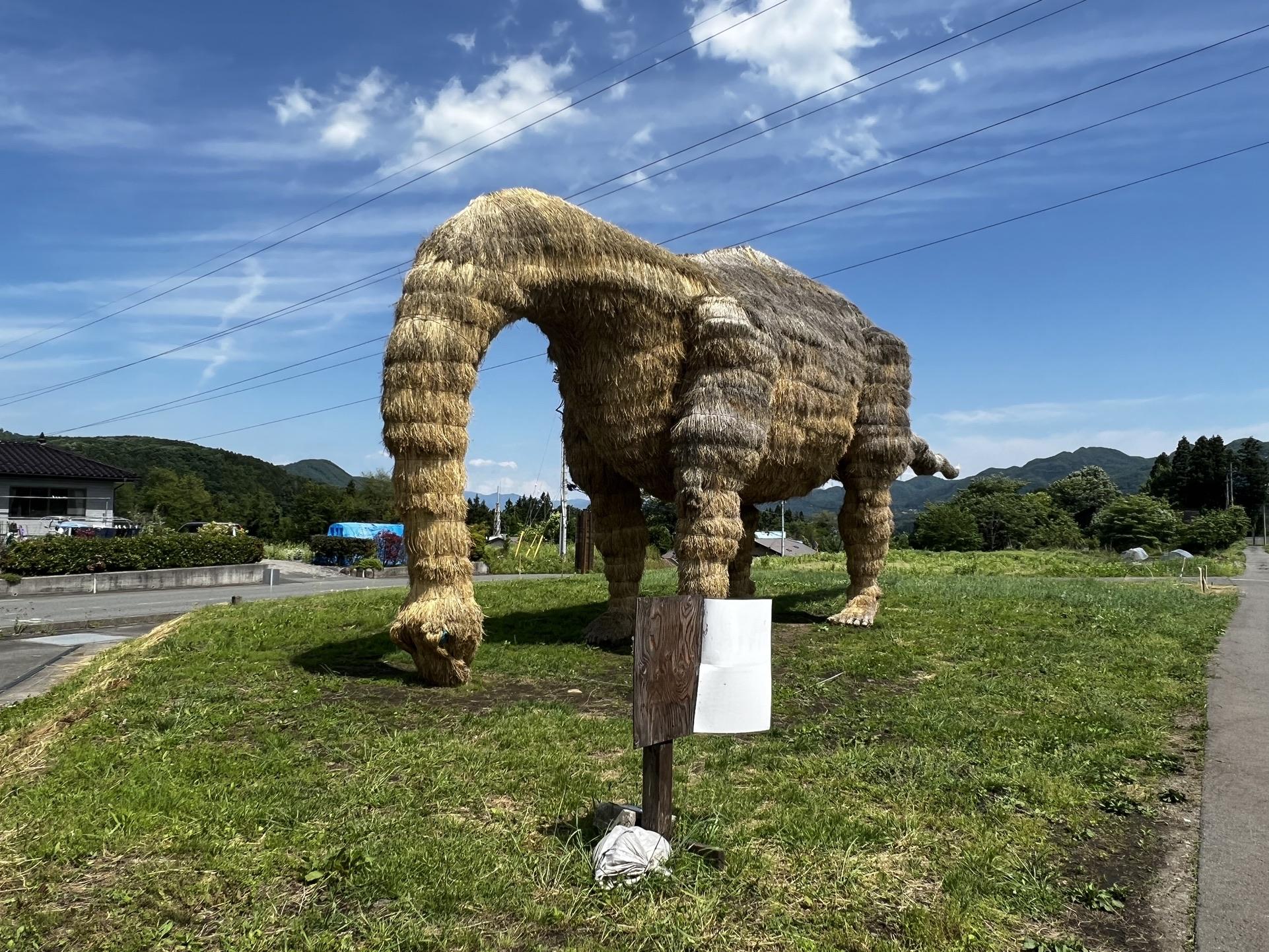 🦕？ / Bii&Guunさんのモーメント | YAMAP / ヤマップ