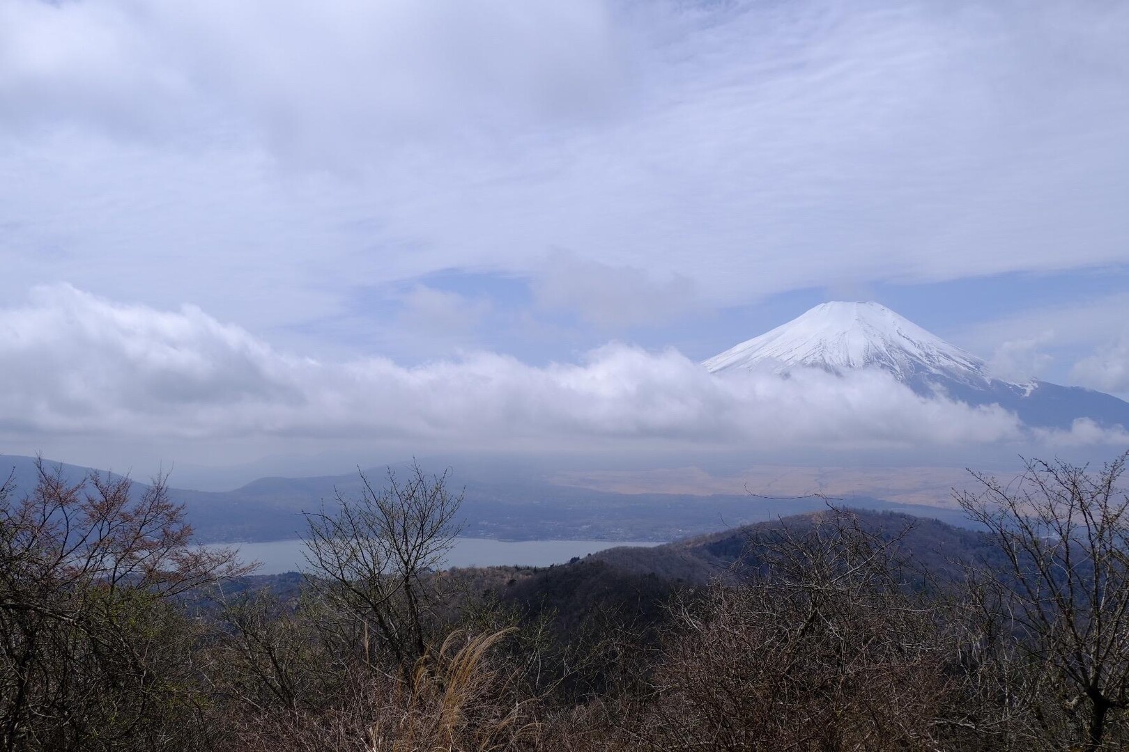 石割山・一ノ砂ノ沢ノ頭・平尾山 / WANDER ENDOさんの御正体山・杓子山・石割山の活動データ | YAMAP / ヤマップ