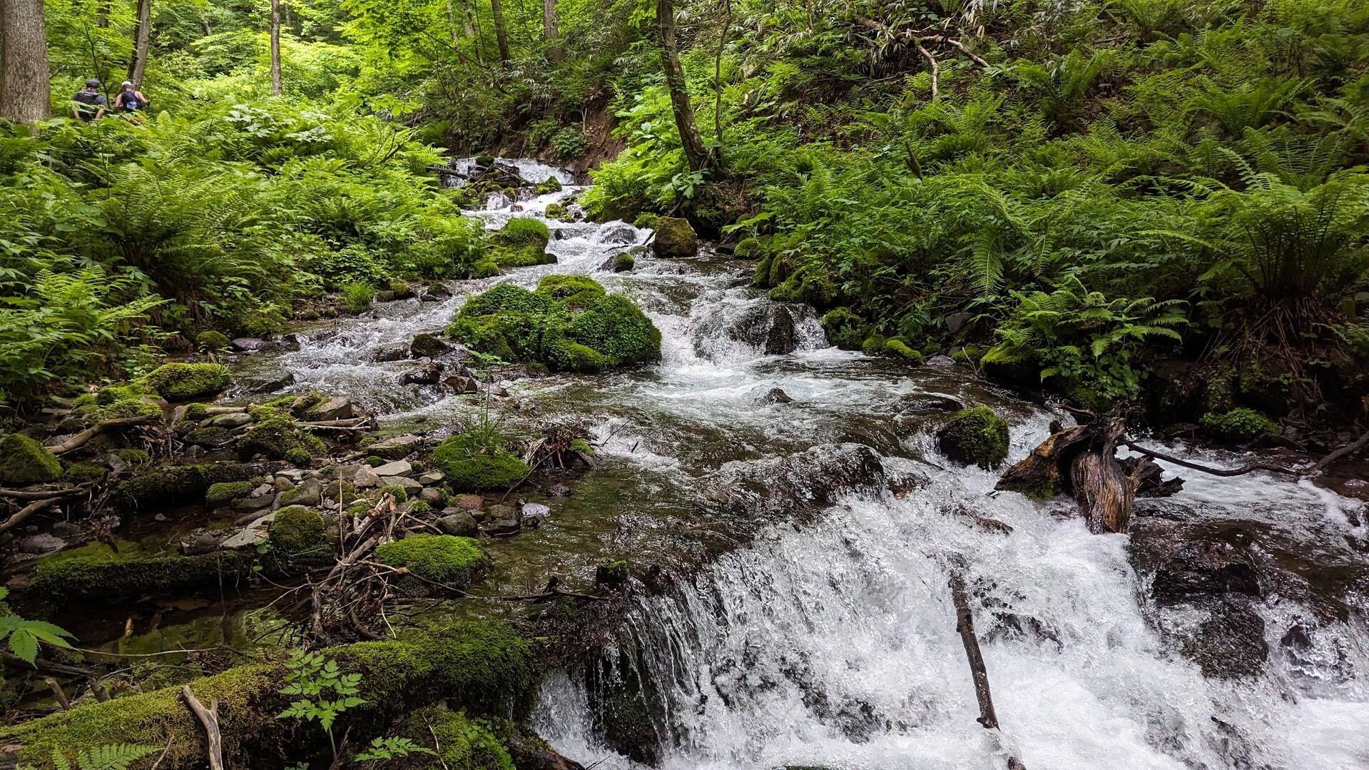 奥信濃50k (2024) / Itokeさんの鳥甲山の活動データ | YAMAP / ヤマップ