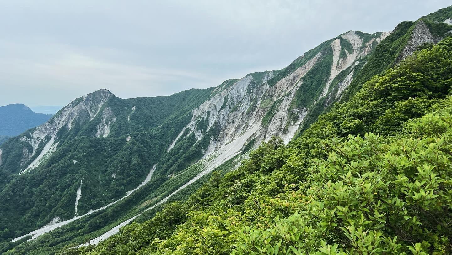 大山 / ryunosukeさんの大山・甲ヶ山・野田ヶ山の活動データ | YAMAP / ヤマップ