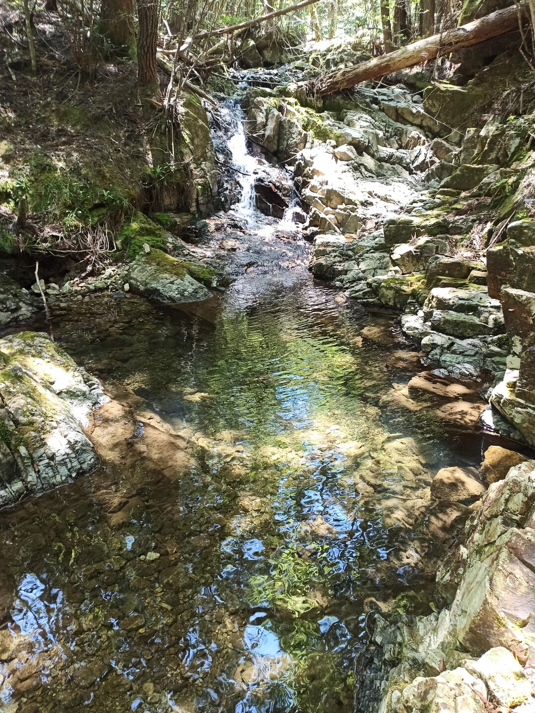 kost_japさんの投稿したフィールドメモ | YAMAP / ヤマップ