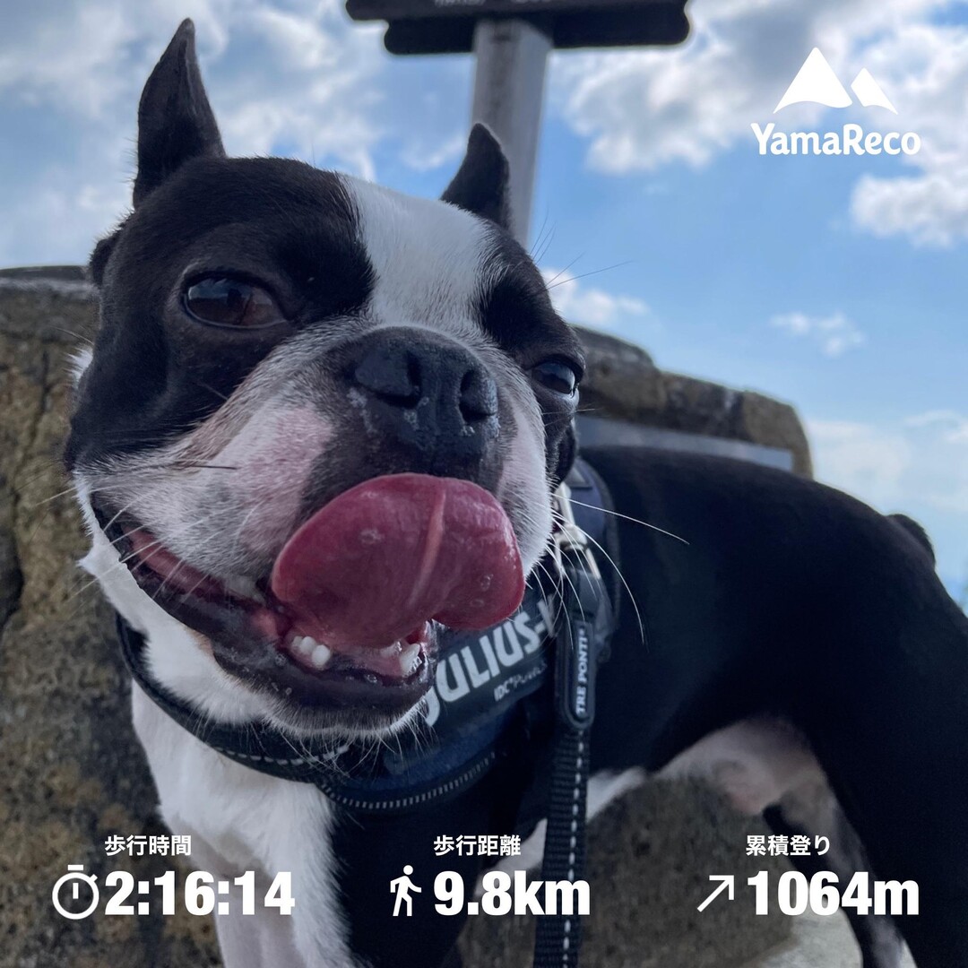 7月22日 入笠山 曇り☁️ 八ヶ... / ISOさんのモーメント | YAMAP / ヤマップ