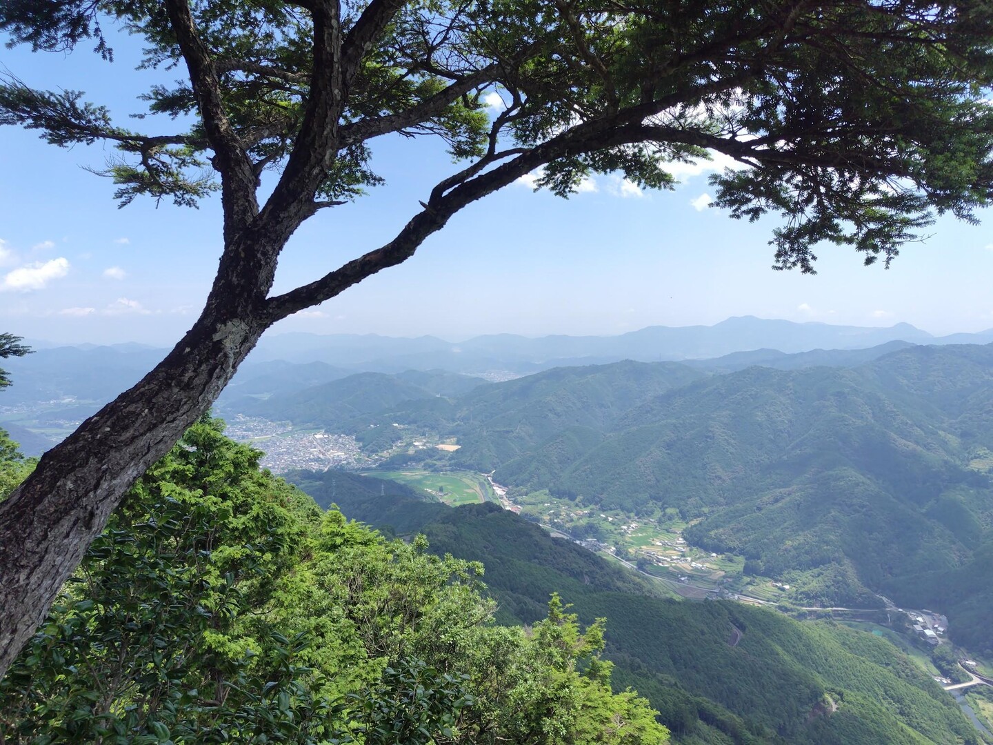 横倉山 / やまのん@syさんの横倉山の活動データ | YAMAP / ヤマップ