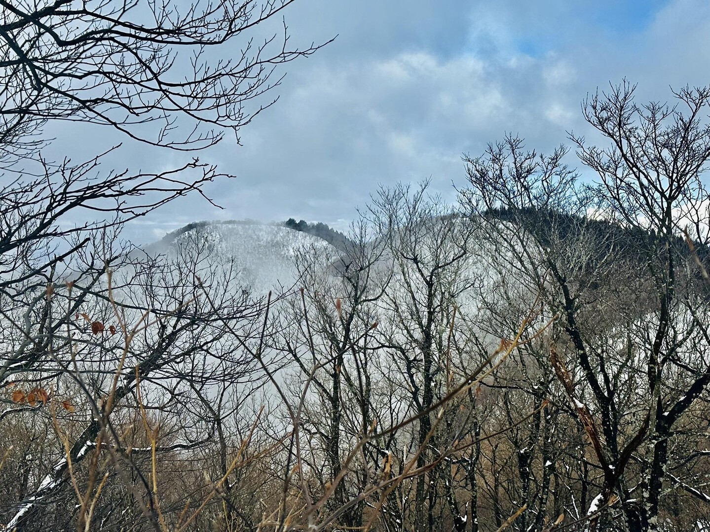 二子山(東峰)・二子山(西峰) / Go Kidさんの二子山の活動データ | YAMAP / ヤマップ