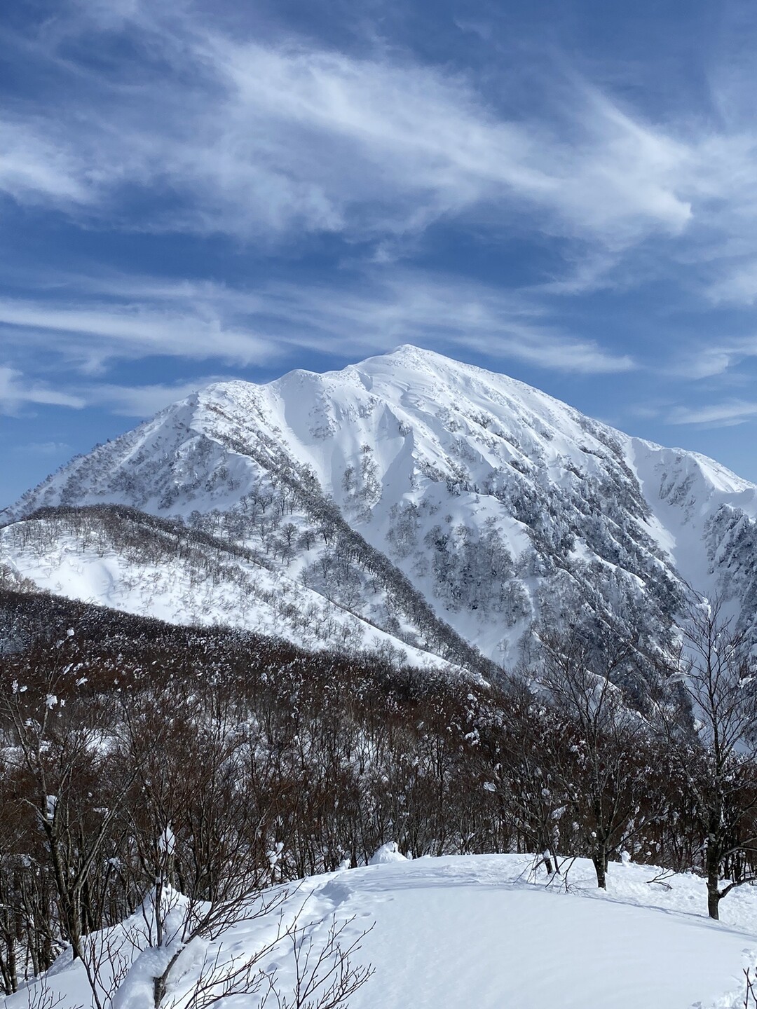かっこよすぎ😍雪の荒島岳R4-02-26 / ちょこいちさんの荒島岳の活動データ | YAMAP / ヤマップ